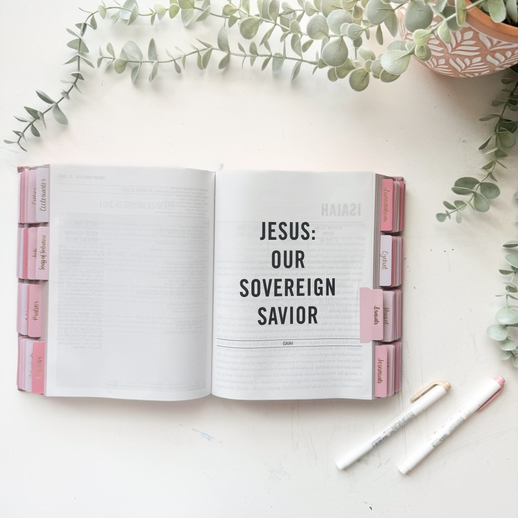 The Jesus Bible with tabs installed Pink - Rosycheeks Lettering